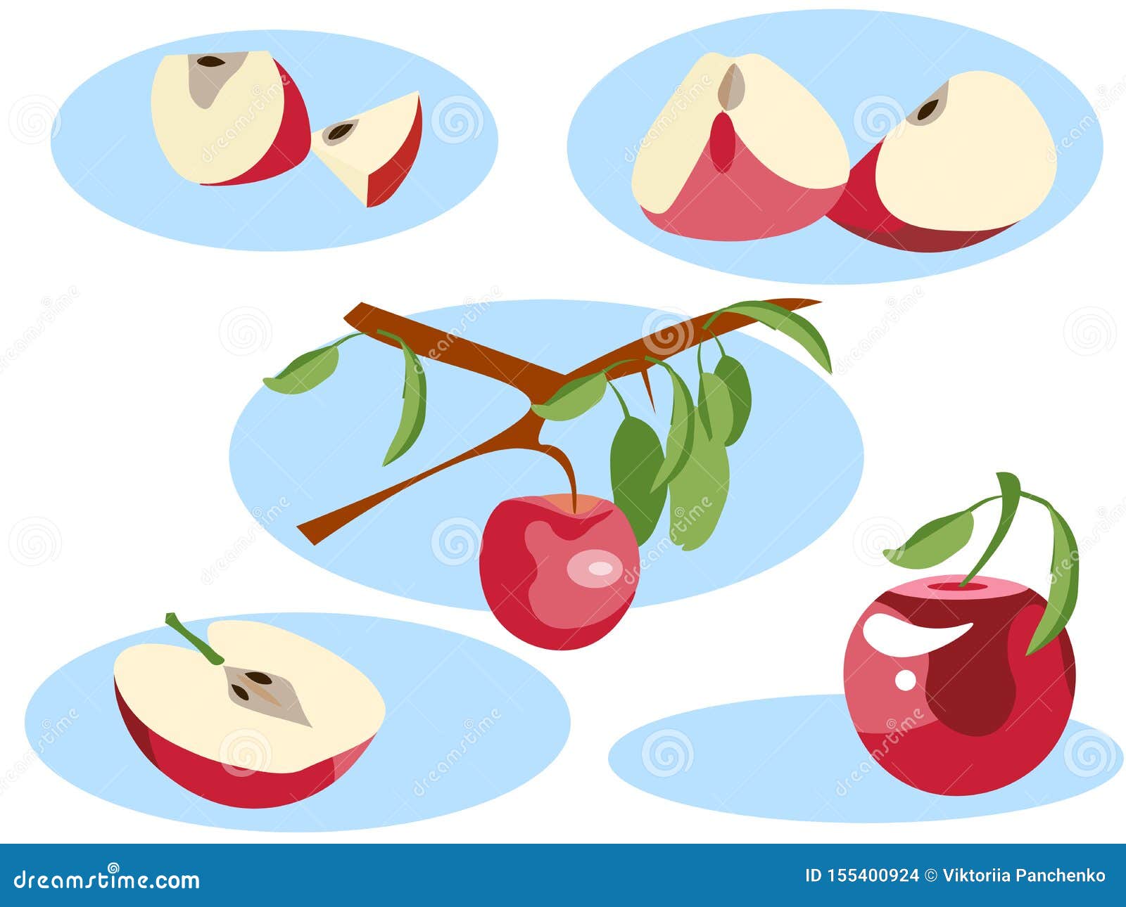 Apple in Different Portions. Whole, Grows on a Tree, Half and Slice. in ...