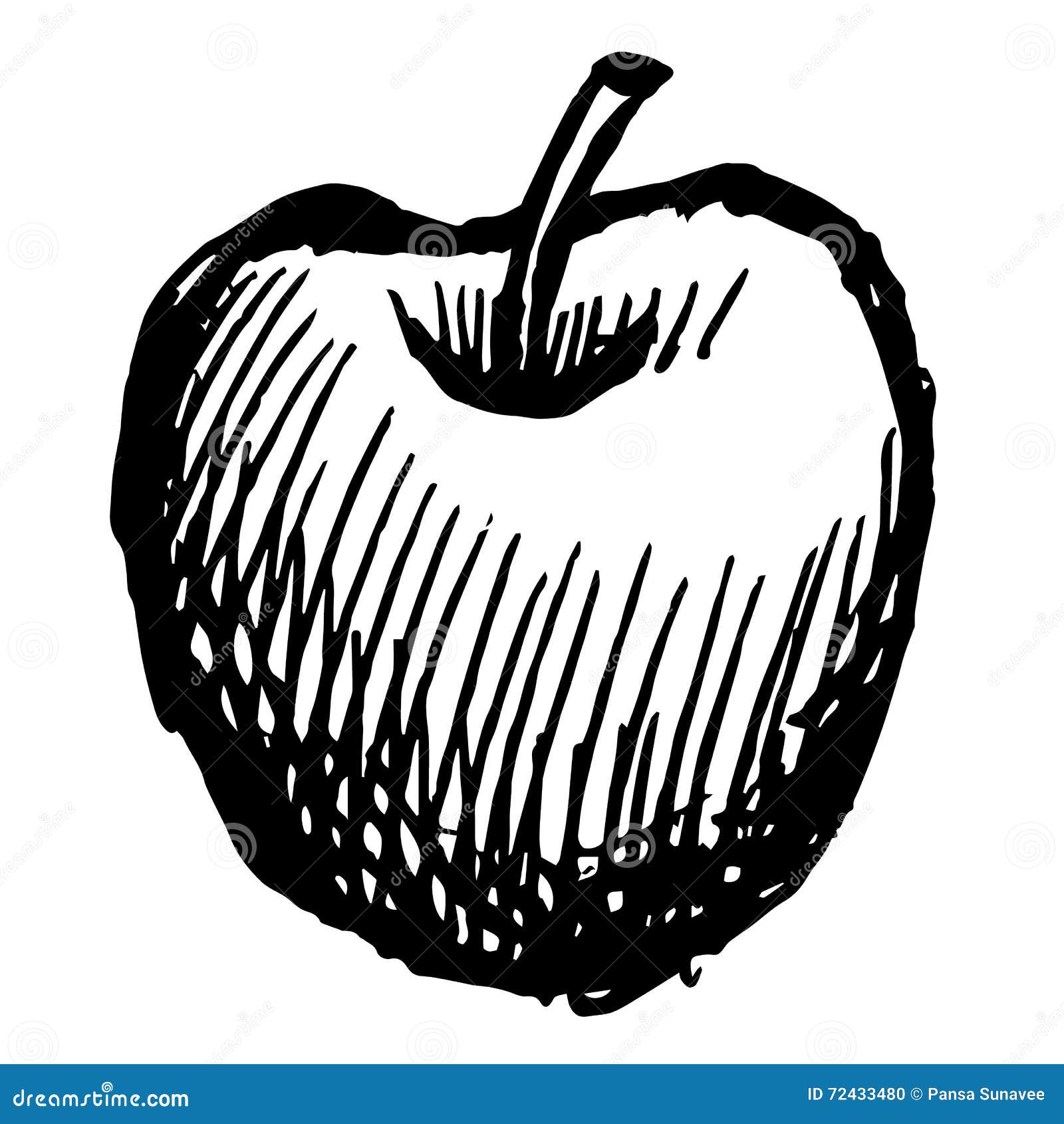 Apple doodle hand drawn stock vector. Illustration of isolated - 72433480