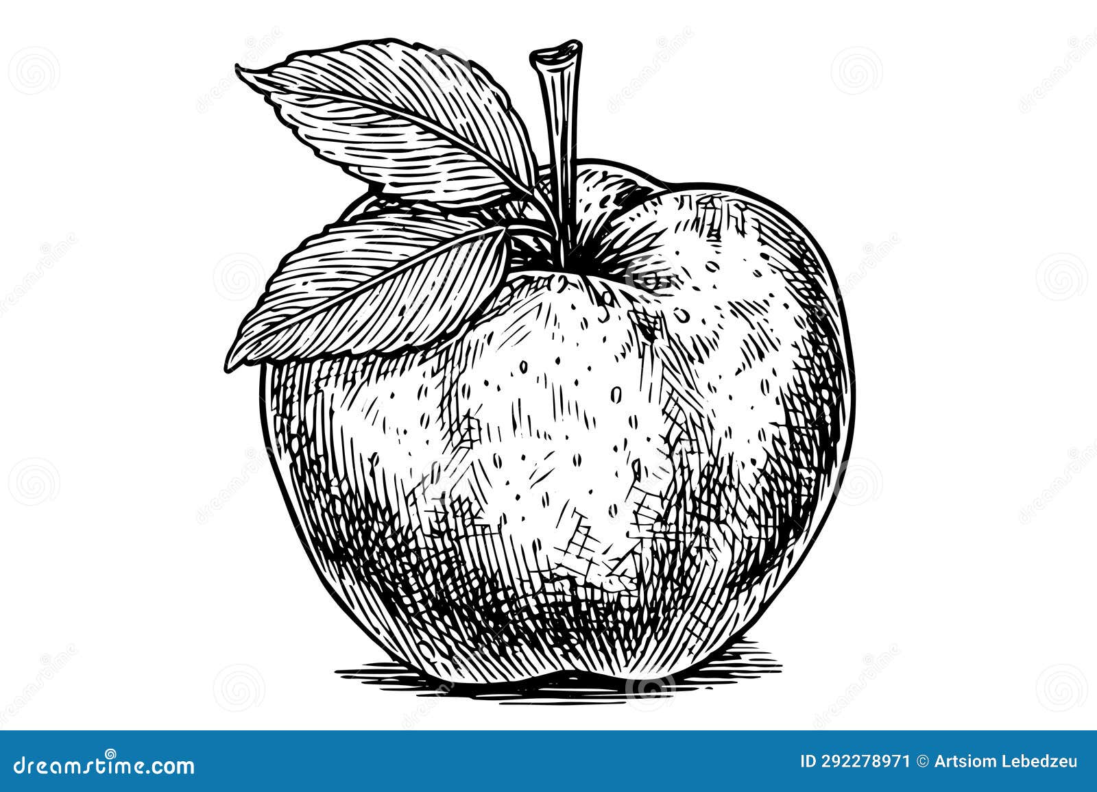Apple Drawing Ink Sketch. Engraved Style Retro Vector Illustration ...