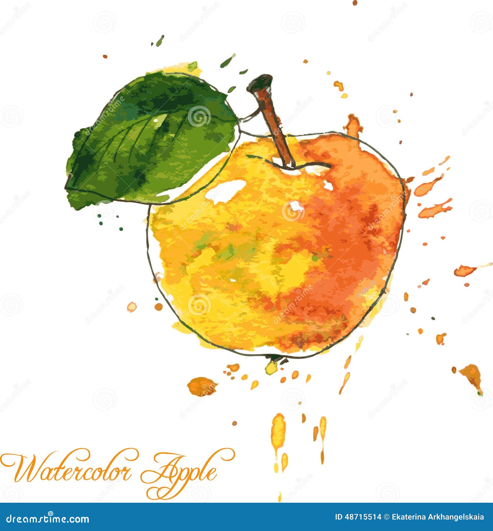 Apple Drawing by Watercolor Stock Vector - Illustration of kitchen ...