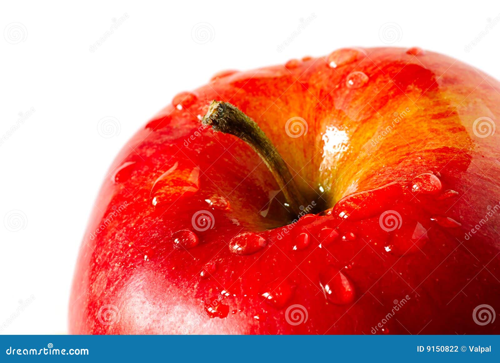 Apple with drop dew stock photo. Image of food, apple - 9150822