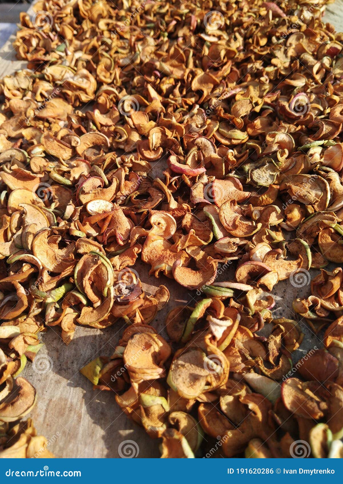 Apple Drying Chips. almost Ready Stock Photo - Image of traditional ...