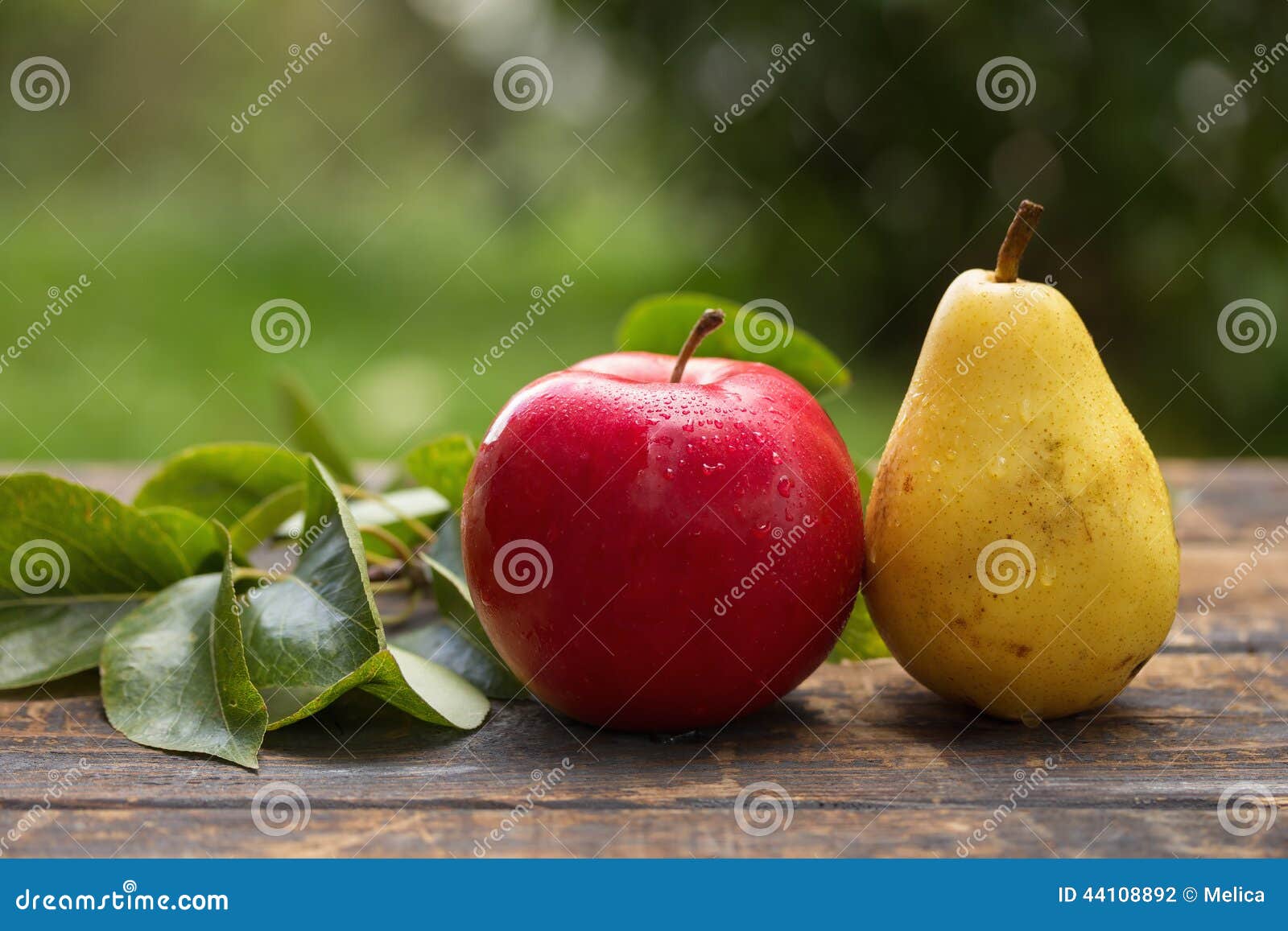 Apple e pera fotografia stock. Immagine di raccolta, alimento - 44108892