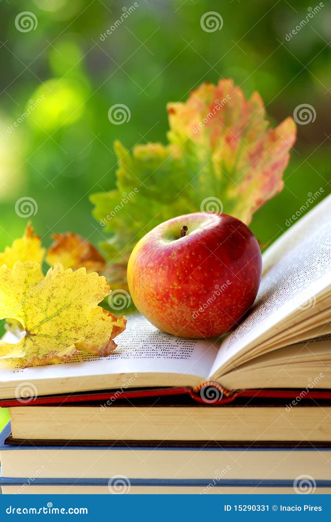Apple en el libro. imagen de archivo. Imagen de fondo - 15290331