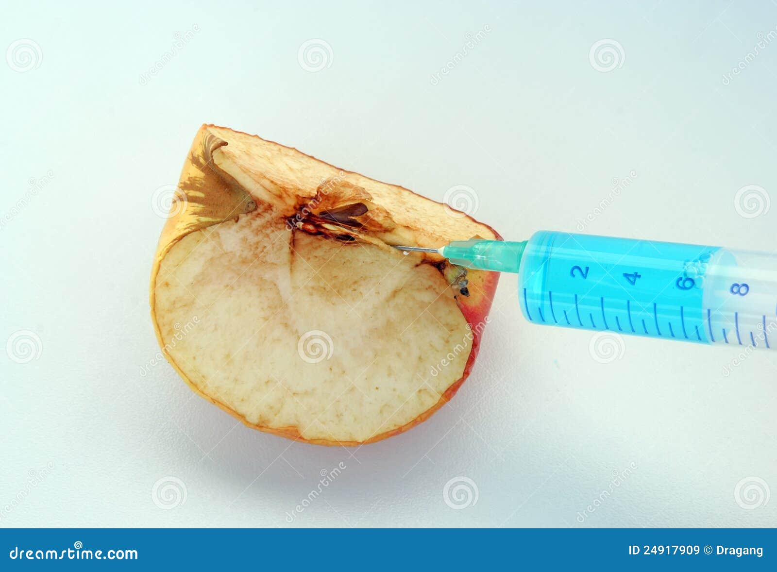 Apple experiment stock image. Image of growth, change - 24917909