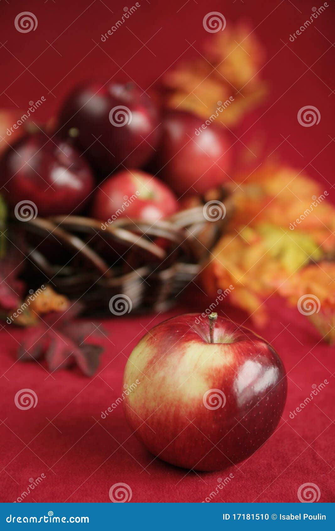 Apple in fall stock photo. Image of autumn, fall, leaves - 17181510