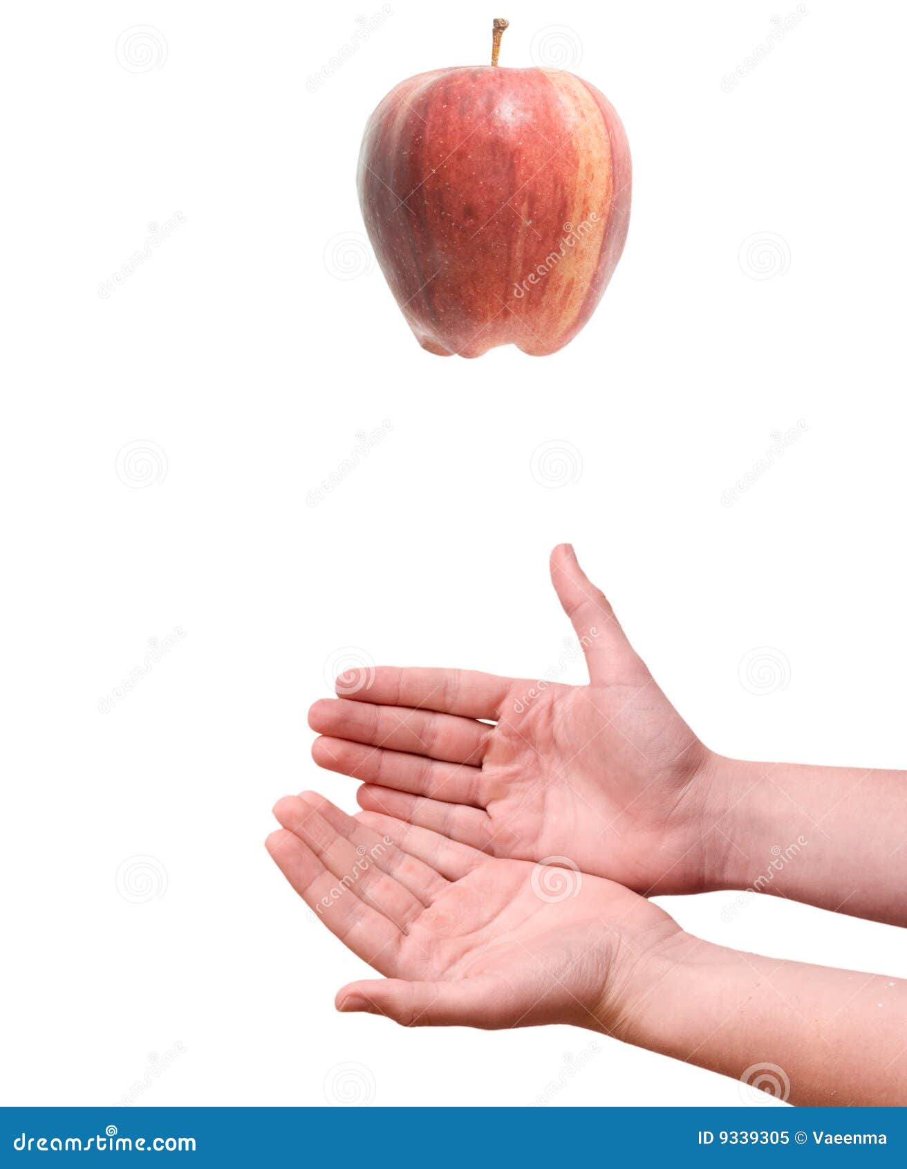 Apple falling to hands stock image. Image of closeup, poma - 9339305