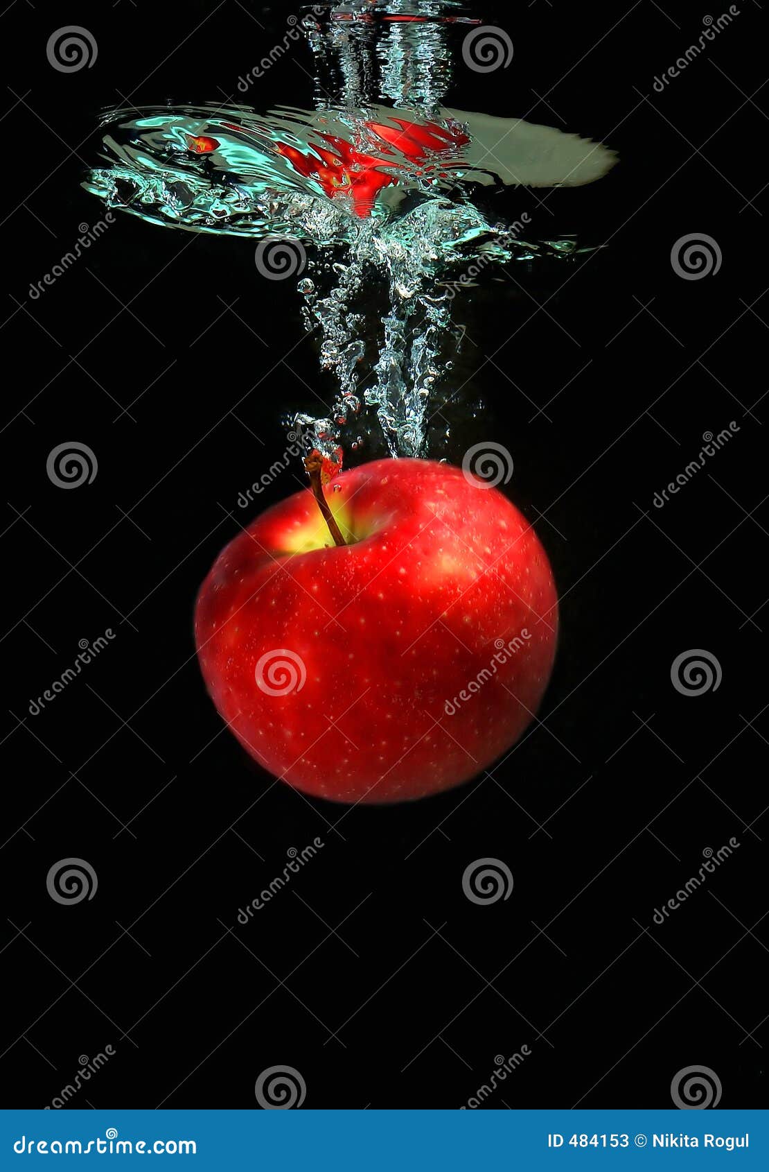 Apple Falling Gravity Photos - Free & Royalty-Free Stock Photos from ...