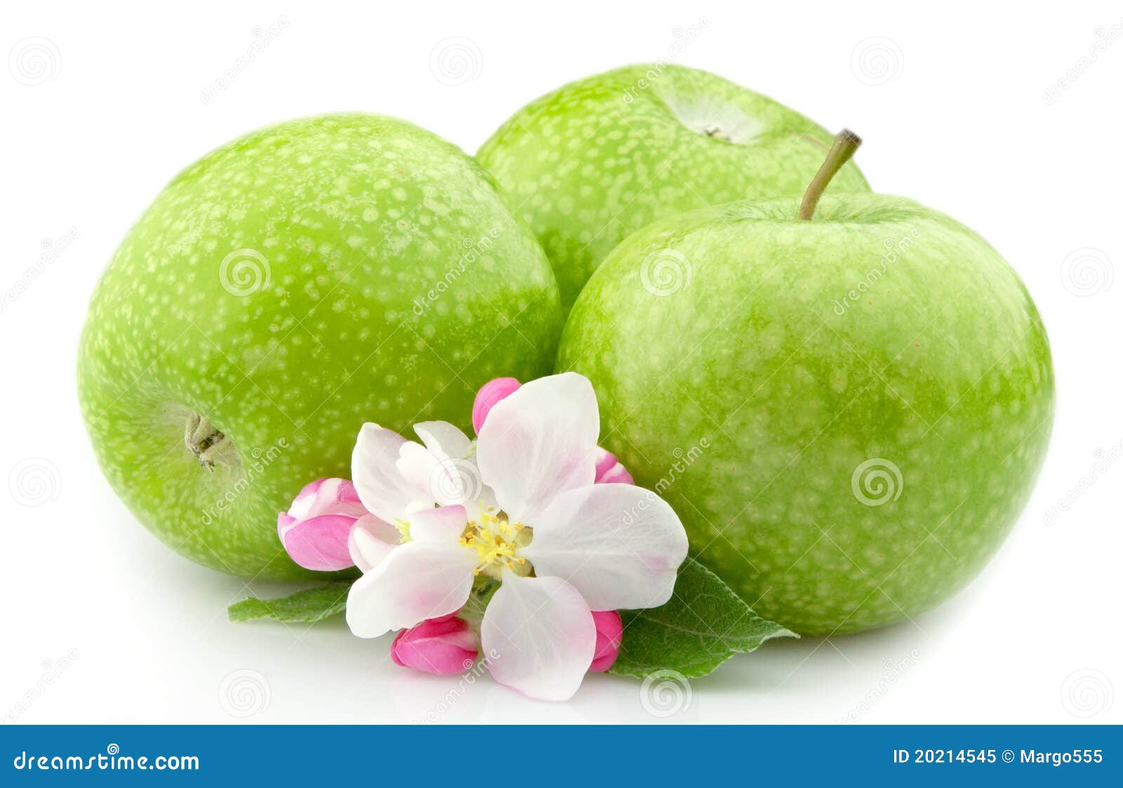 Apple with flowers stock image. Image of snack, apples - 20214545