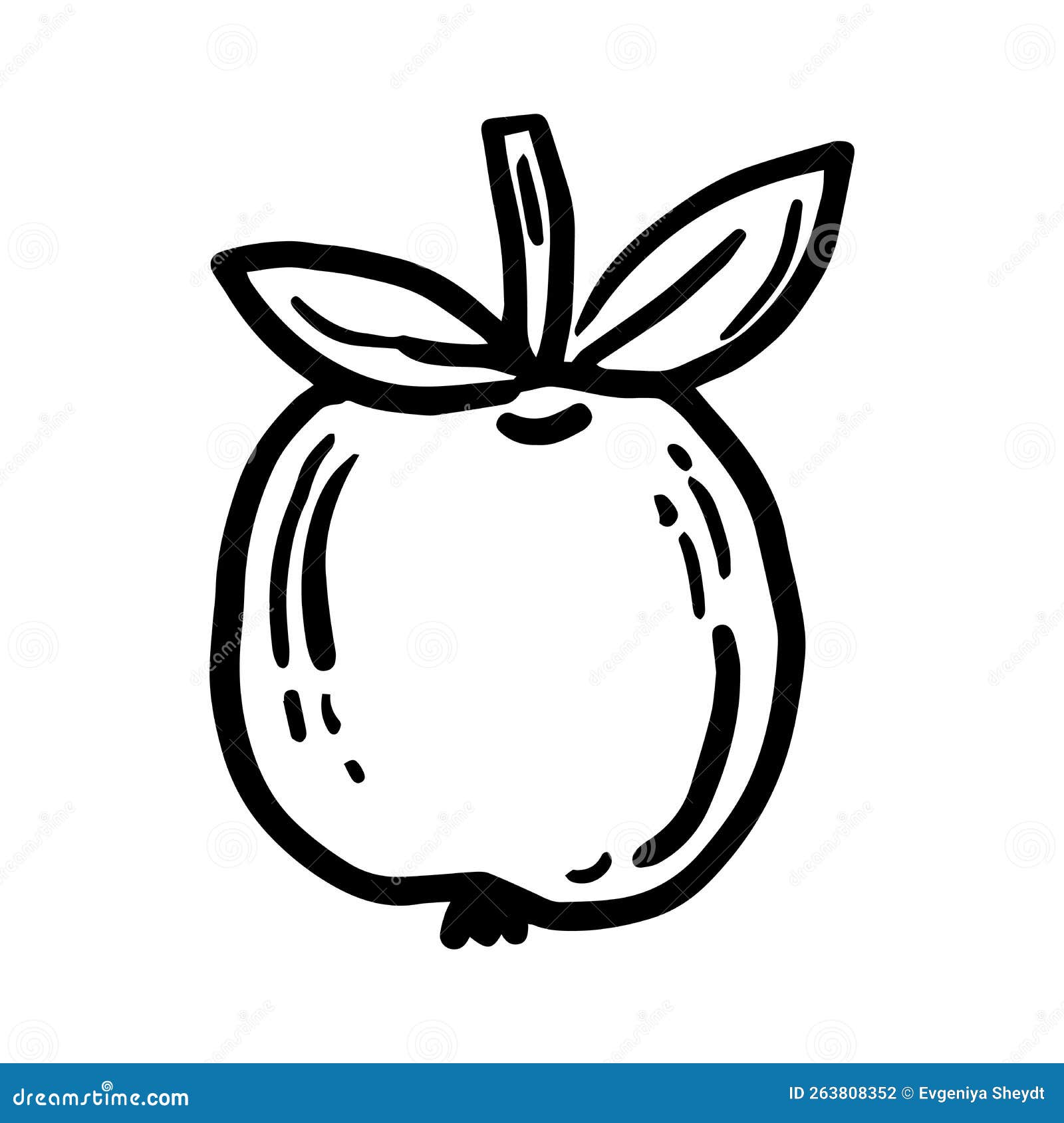 Apple Free Hand Vector Drawing. Vector Object of a Doodle Apple with a ...