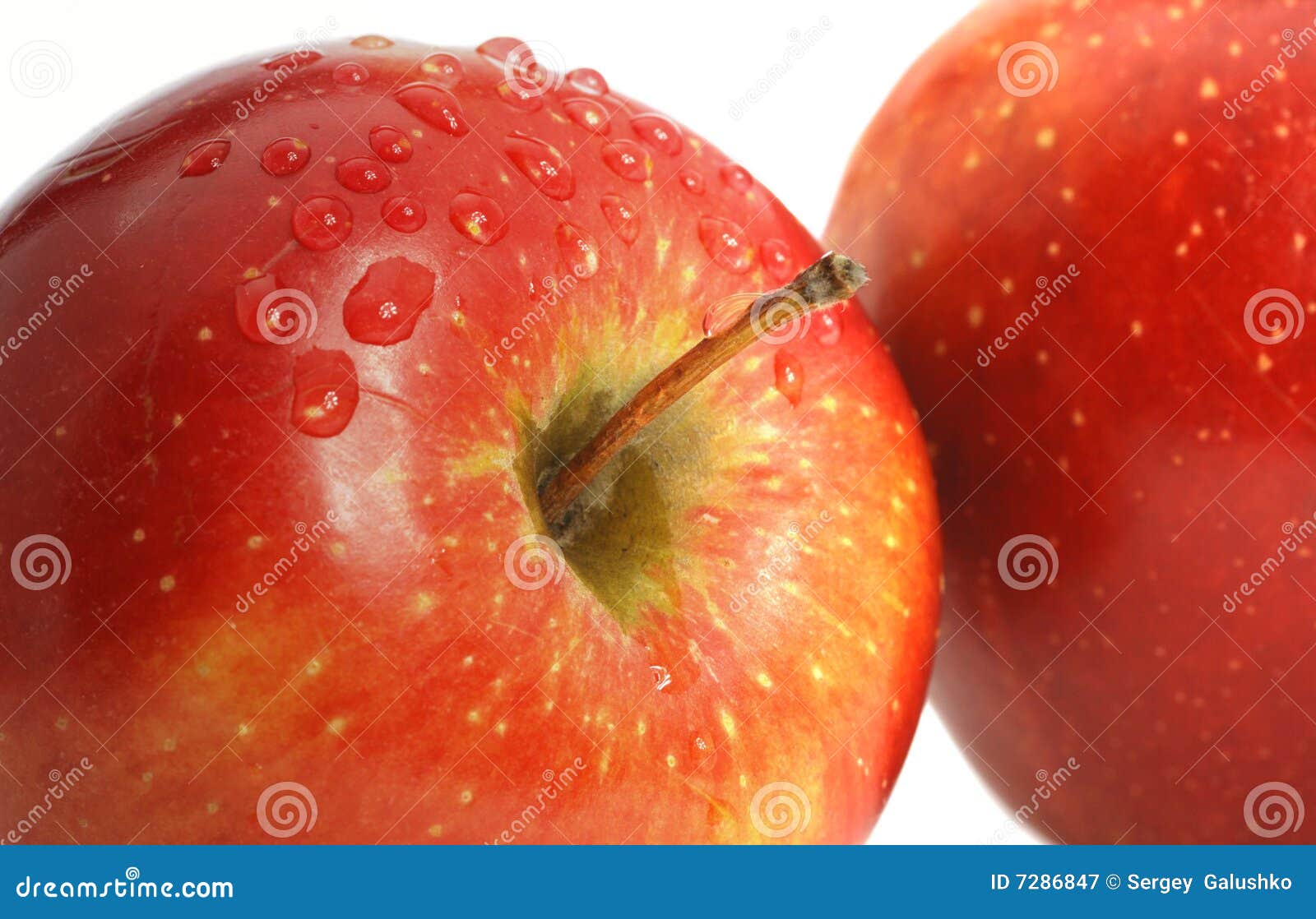 Apple and fresh drops stock image. Image of rootlet, macro - 7286847