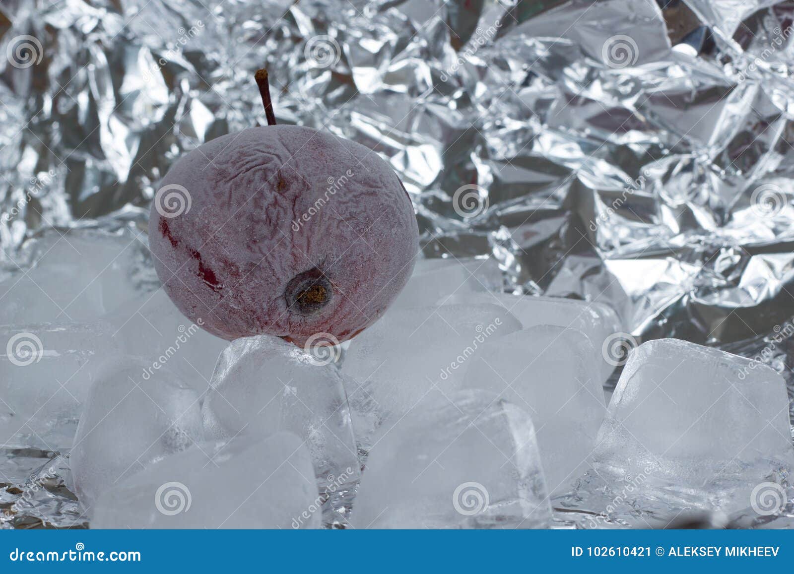 Apple stock image. Image of apple, cold, winter, apples - 102610421