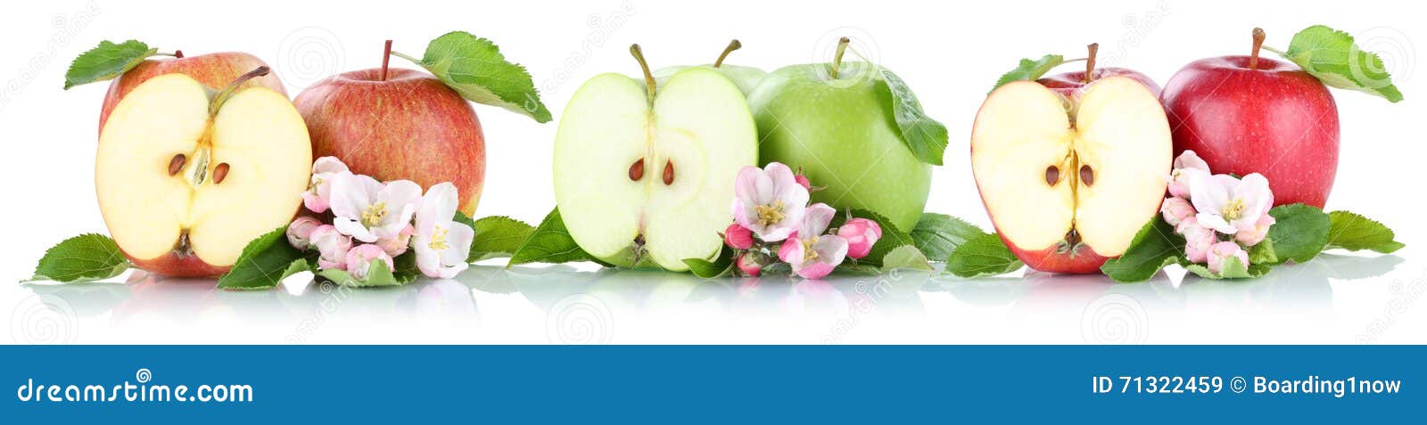 Apple Fruit Apples Fruits in a Row Sliced Isolated on White Stock ...
