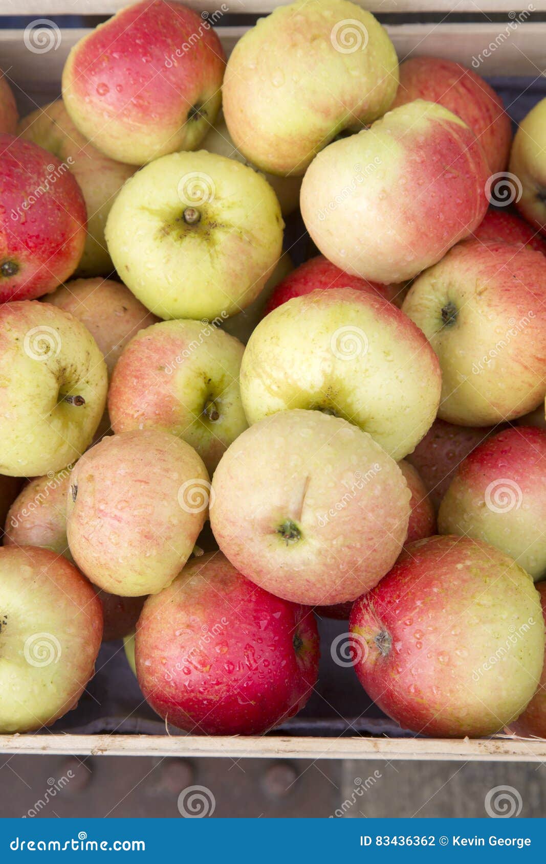 Apple Fruit Background stock photo. Image of green, stall - 83436362
