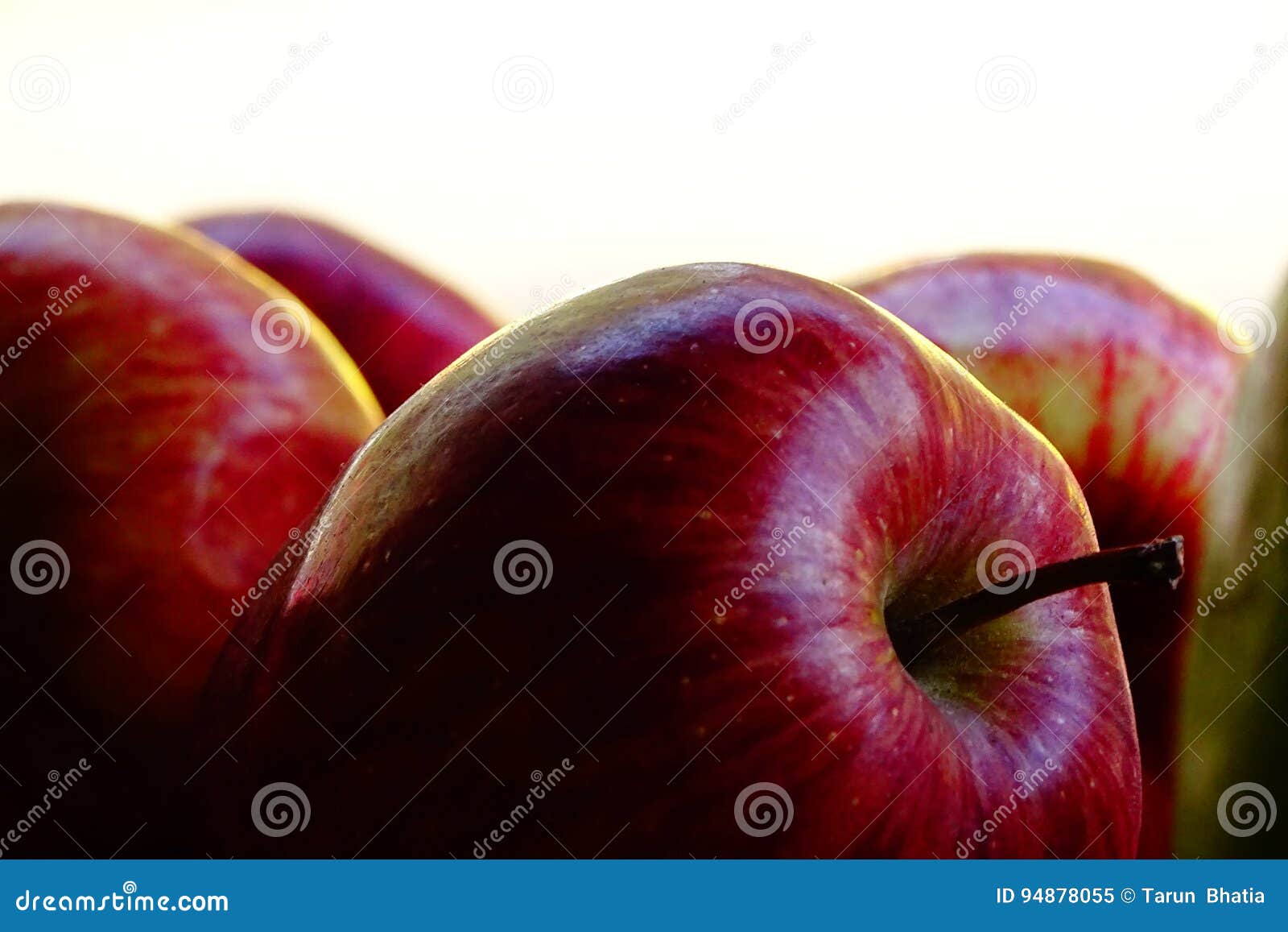 Apple Fruit stock image. Image of color, apple, portrait - 94878055