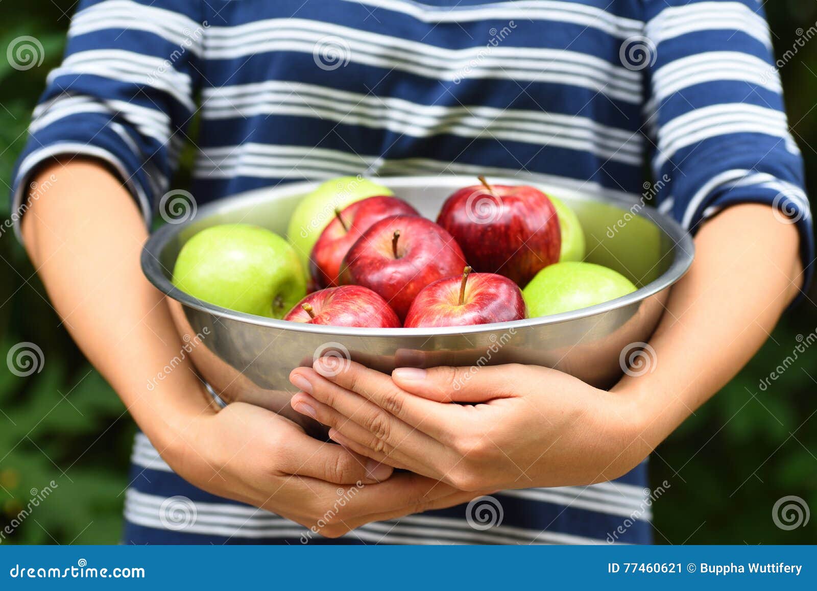 Apple fruit stock image. Image of sweet, nutrition, diet - 77460621