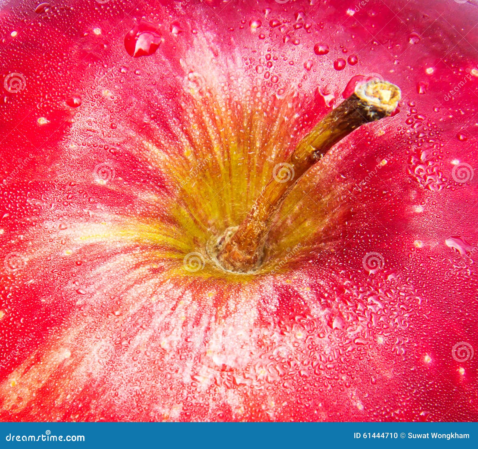 Apple fruit closeup stock photo. Image of juice, closeup - 61444710
