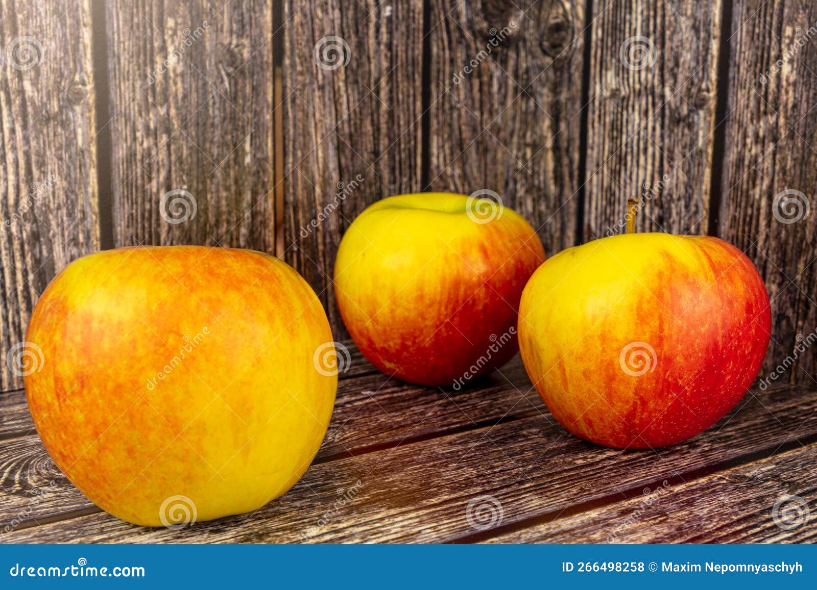 Apple fruit stock photo. Image of plant, produce, yellow - 266498258