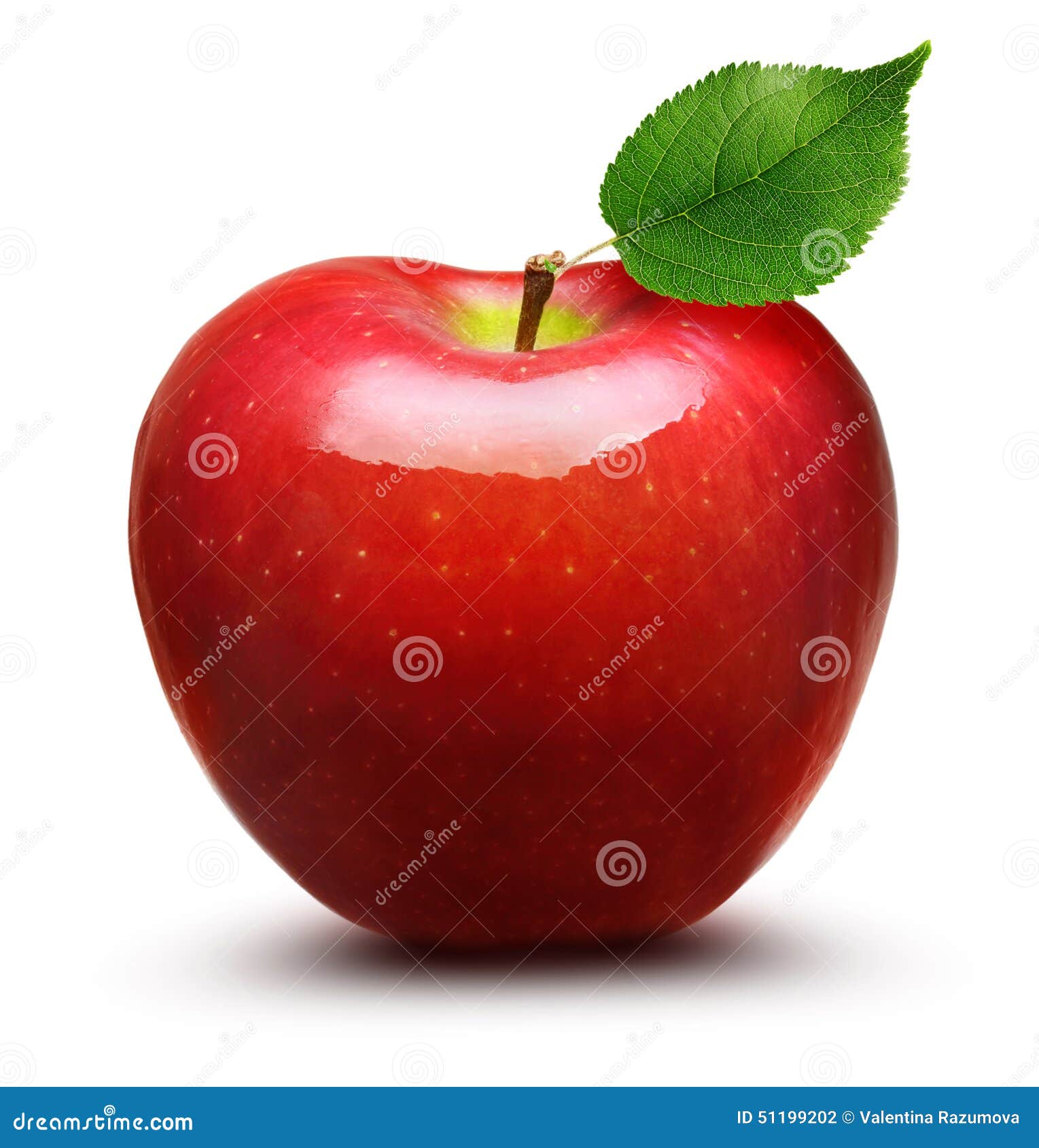 Apple fruit isolated stock photo. Image of juice, healthy - 51199202
