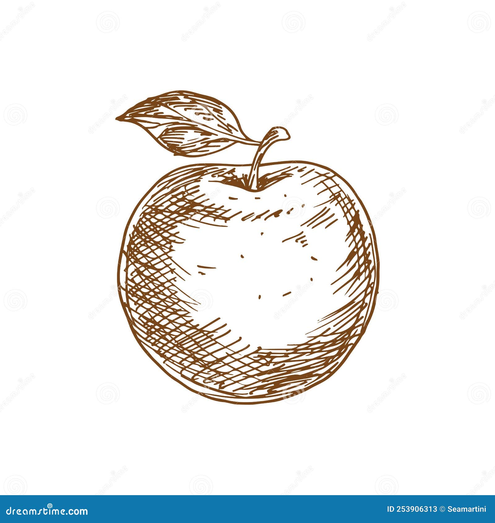 Apple Fruit with Leaf Isolated Sketch Stock Vector - Illustration of ...