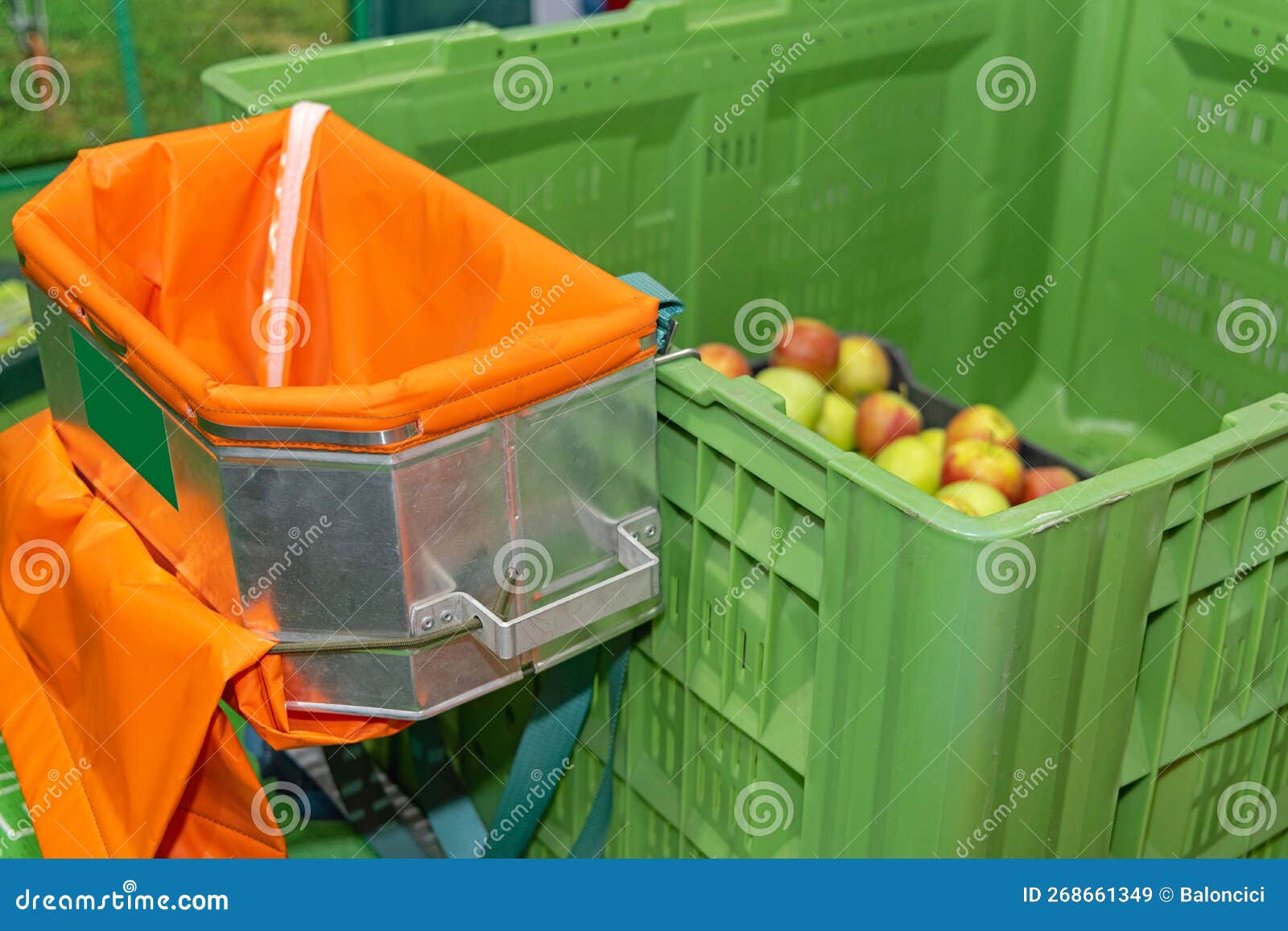 Apple Fruit Picking Bucket stock image. Image of pallet - 268661349