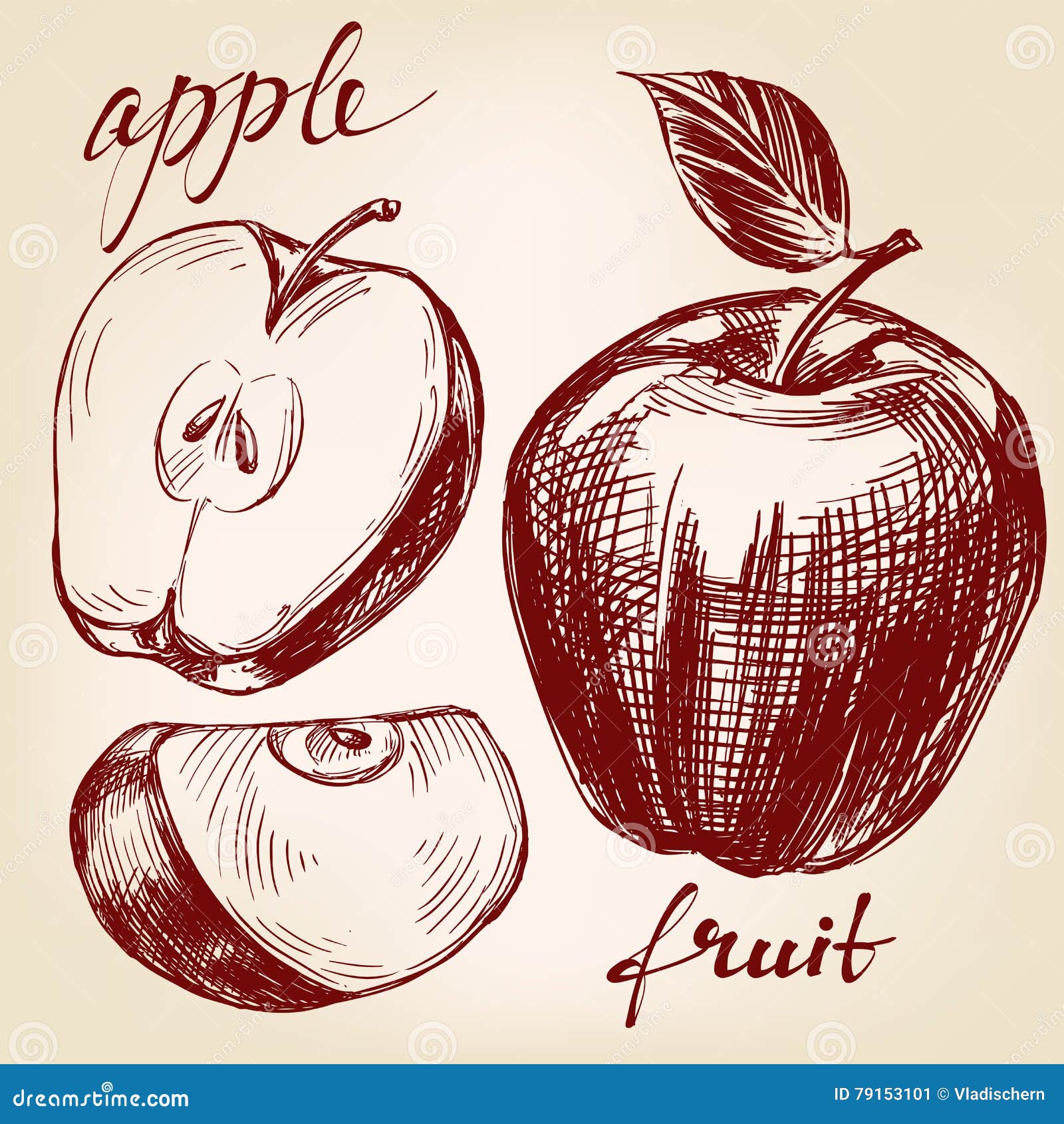 Apple Fruit Set Hand Drawn Vector Sketch Stock Vector - Illustration of ...