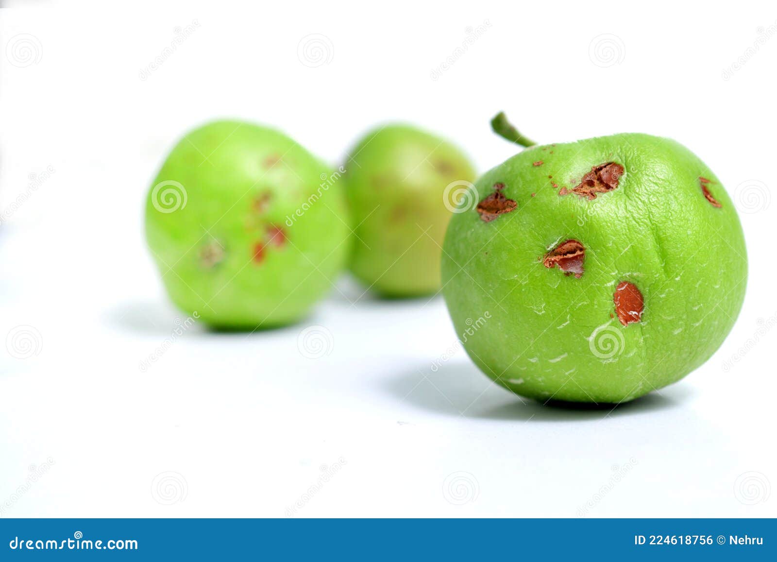 Apple Fruits Damaged by Heavy Hail Storm .pictured in Studio Stock ...