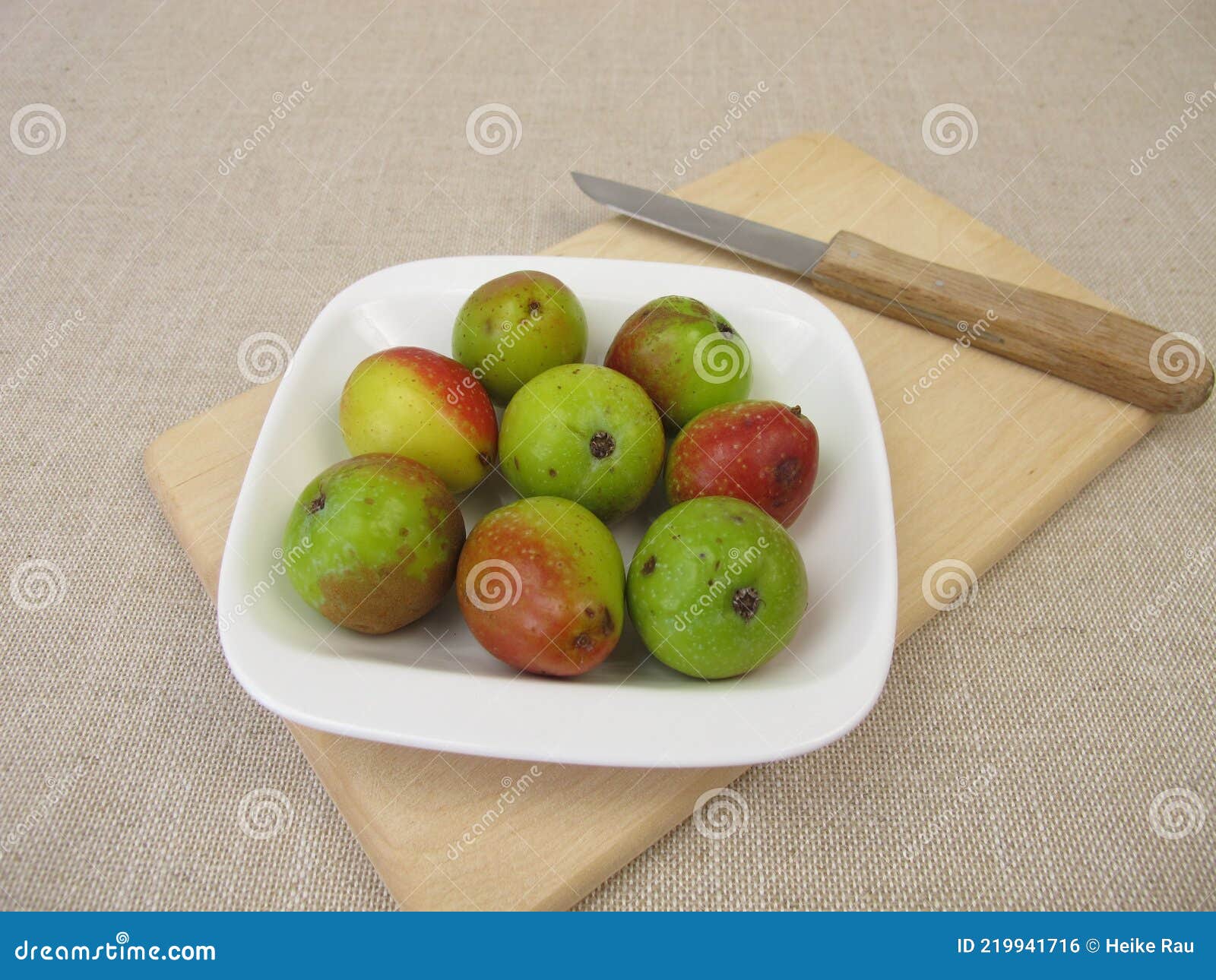 Apple Fruits from the Sorb Tree Stock Photo - Image of sorb, whitebeam ...