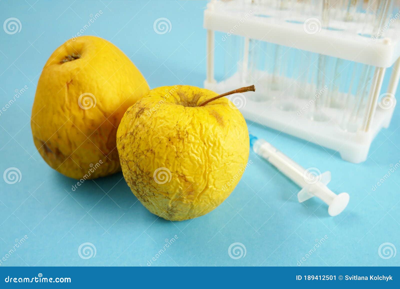 Apple in Genetic Engineering Laboratory with Syringe Stock Image ...