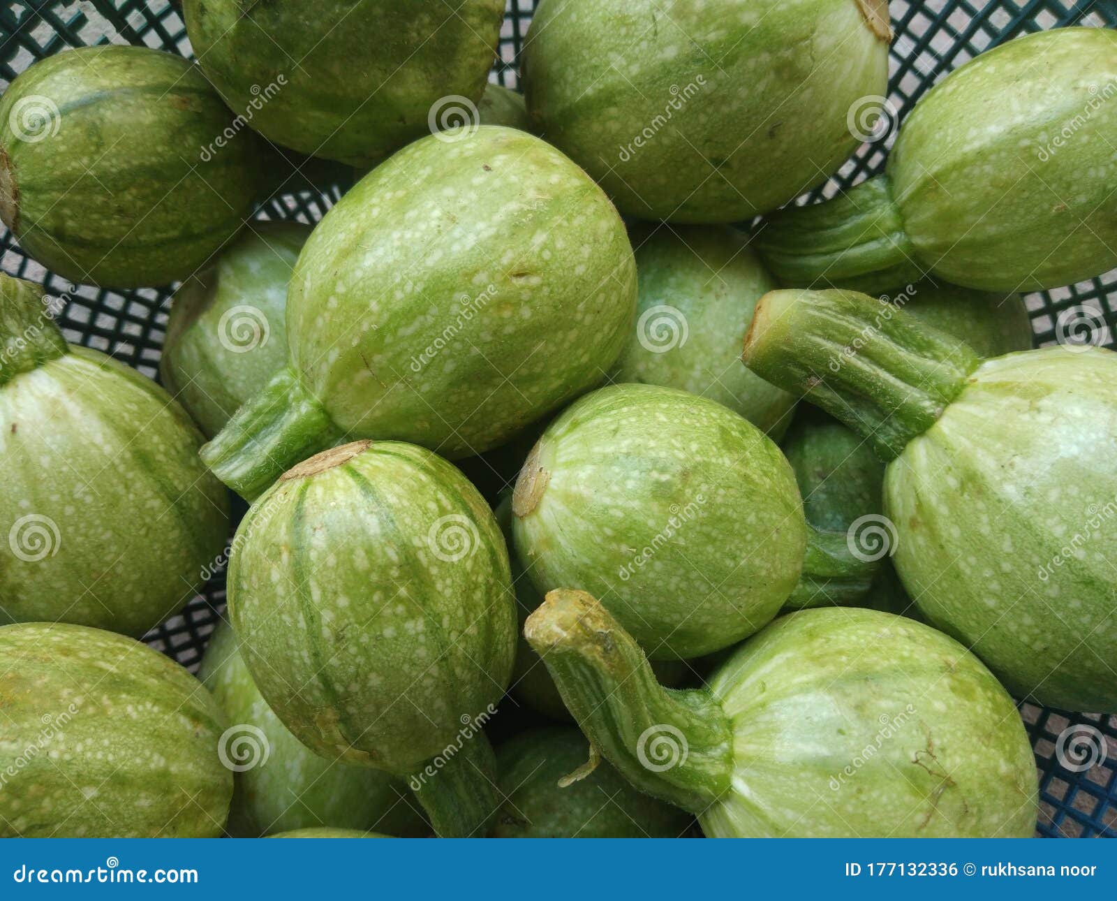 Apple Gourd,tinda in a Shop Stock Photo - Image of green, cooking ...