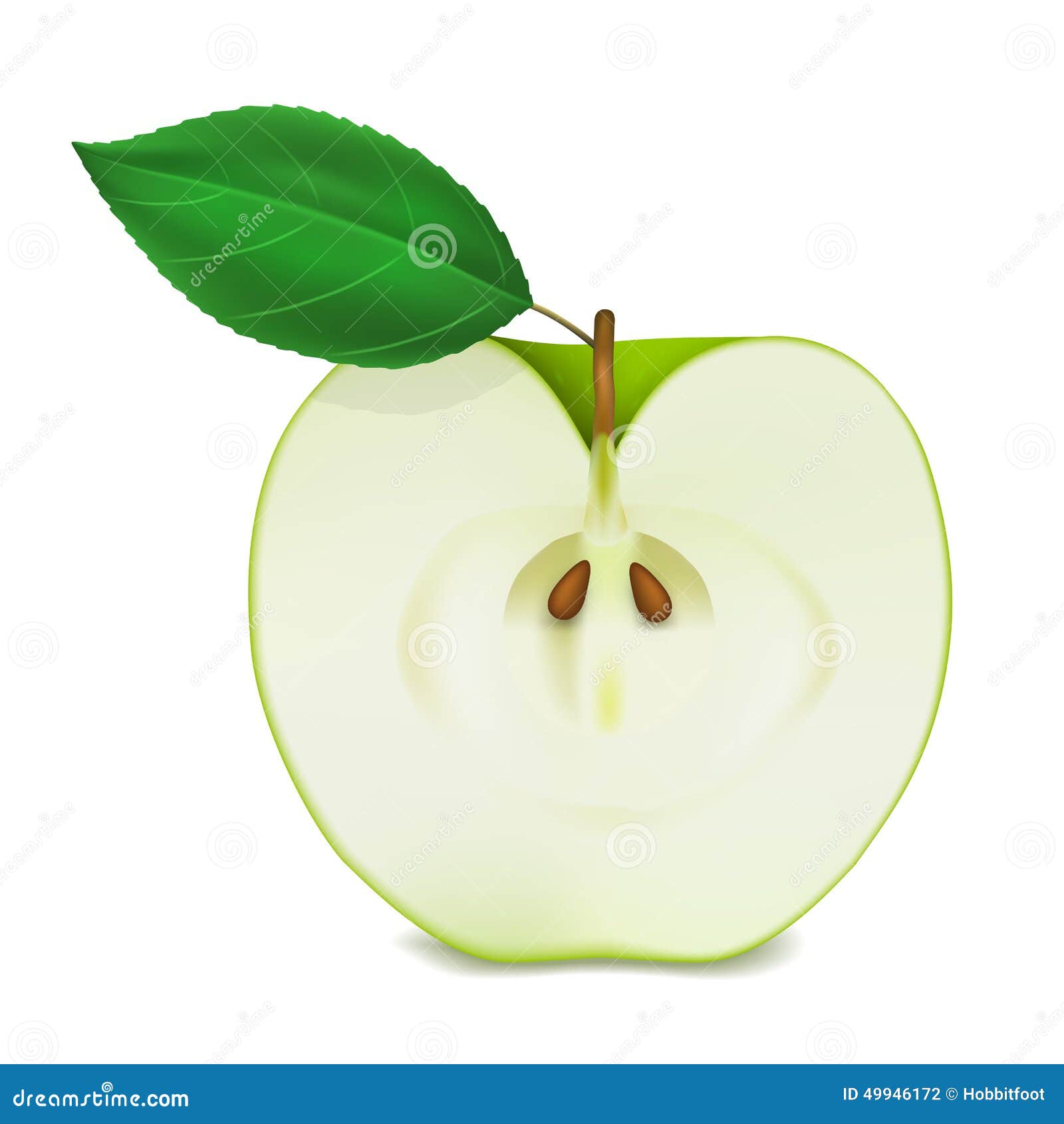 Apple half stock vector. Illustration of garden, food - 49946172