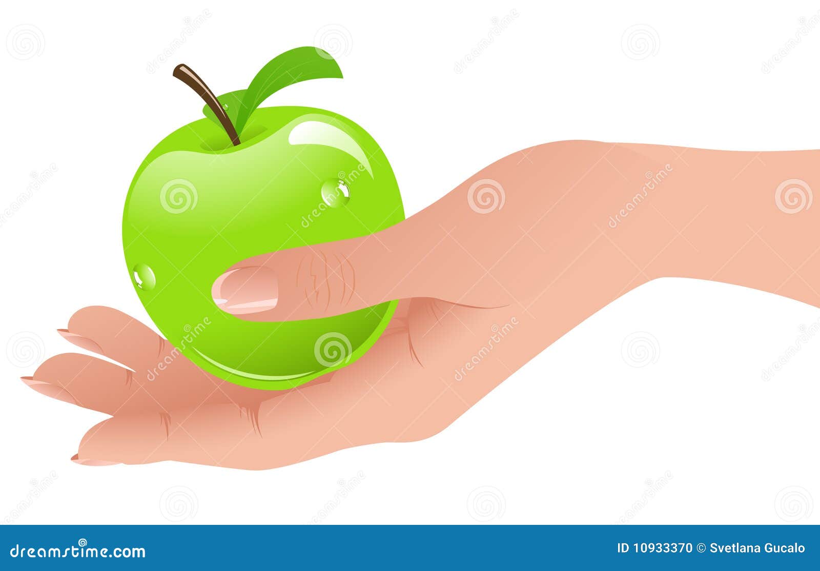 Apple in the hand stock vector. Illustration of nature - 10933370