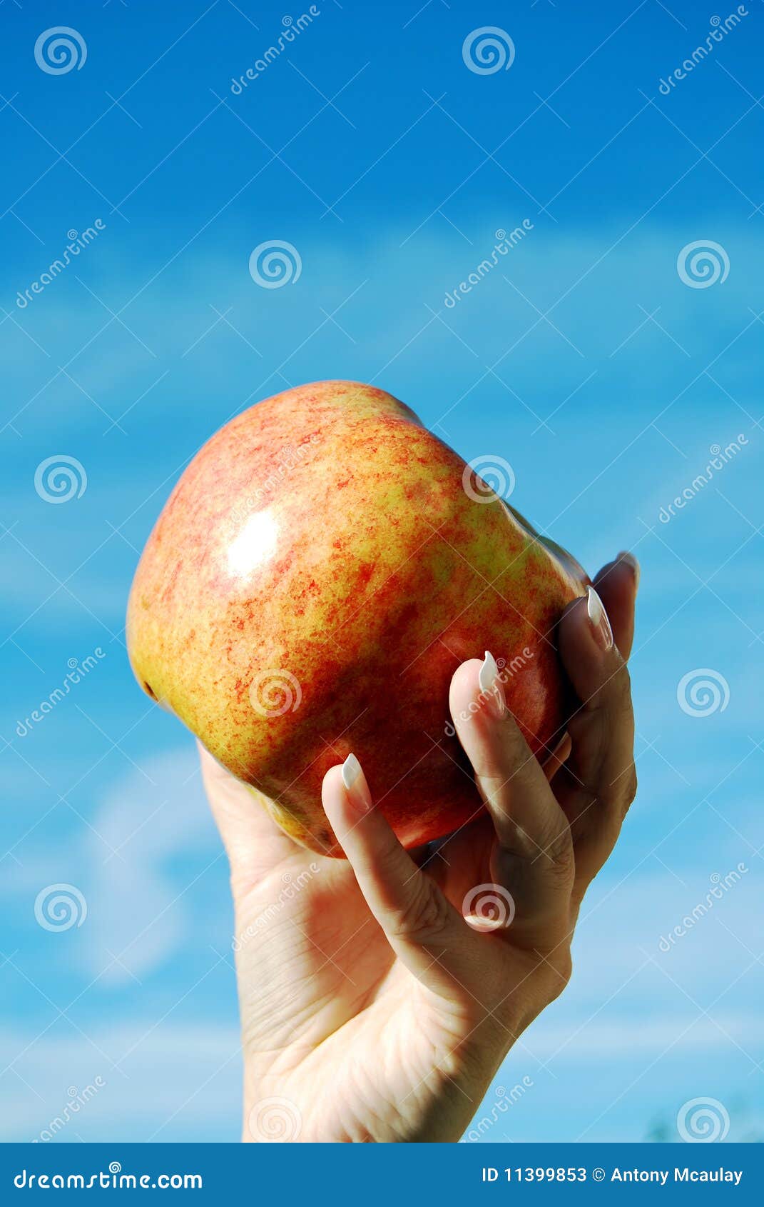 Apple in hand stock image. Image of natural, freshness - 11399853