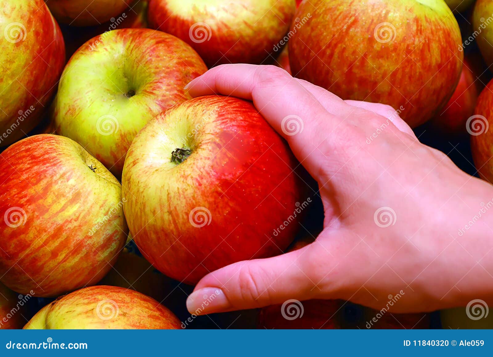Apple in Hand stock photo. Image of fruits, holding, health - 11840320
