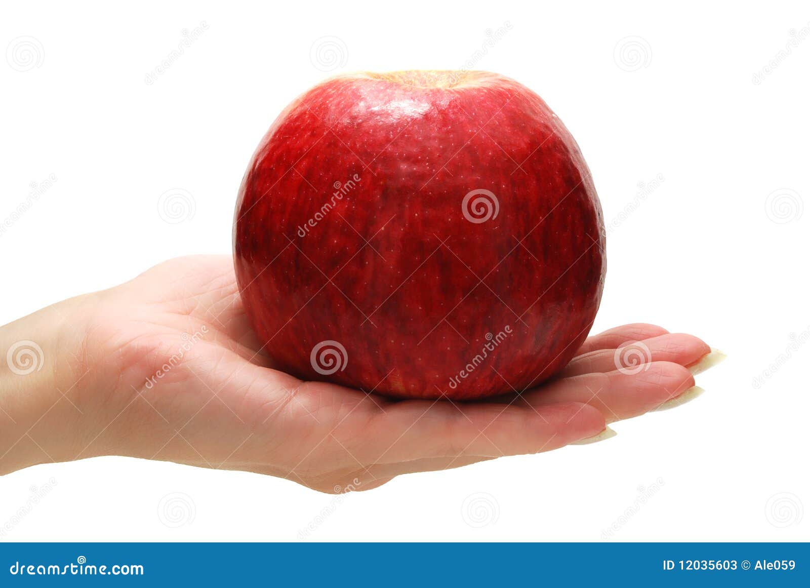 Apple in Hand stock image. Image of organic, apple, agriculture - 12035603