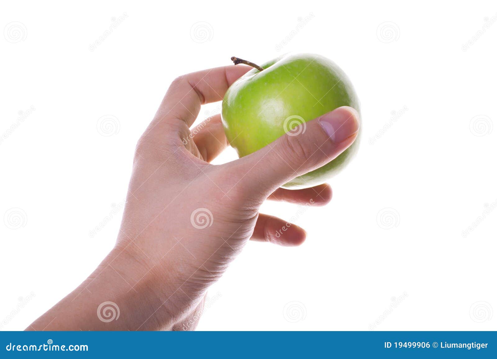 Apple in hand 2 stock photo. Image of vitamin, healthcare - 19499906