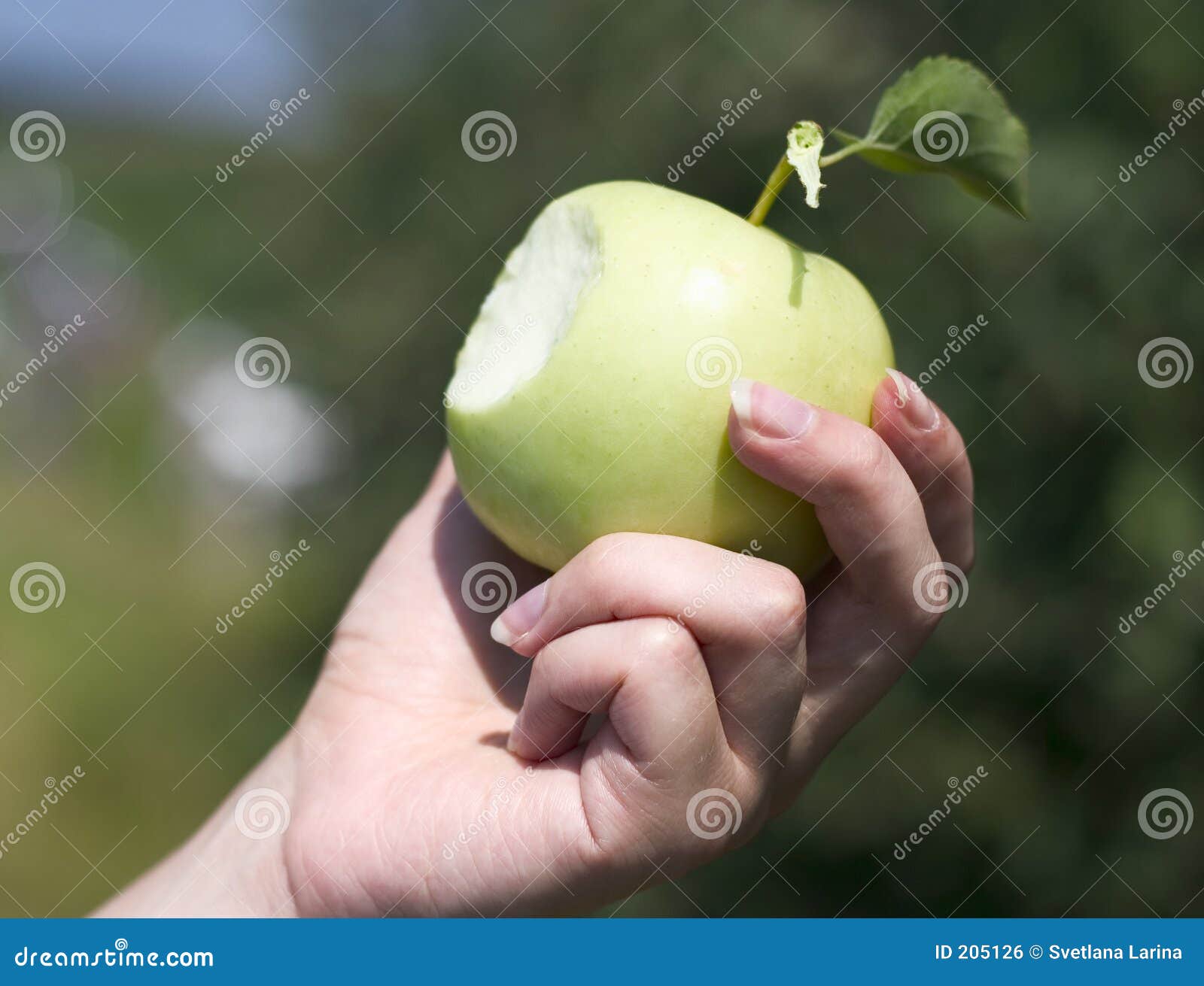 Apple in hand stock photo. Image of health, green, juicy - 205126