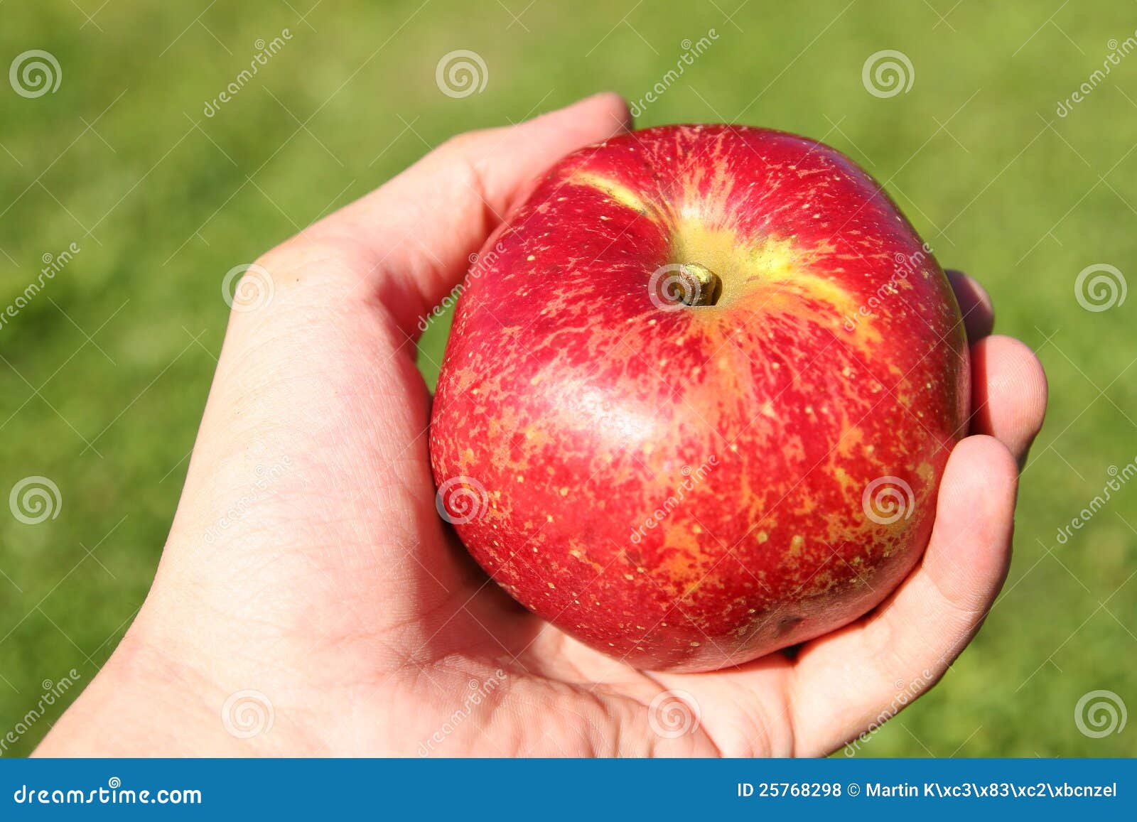 Apple in a hand stock photo. Image of thumb, palm, fruit - 25768298