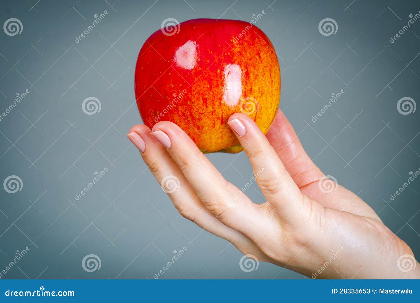 Apple on hand stock image. Image of food, nutrition, giving - 28335653