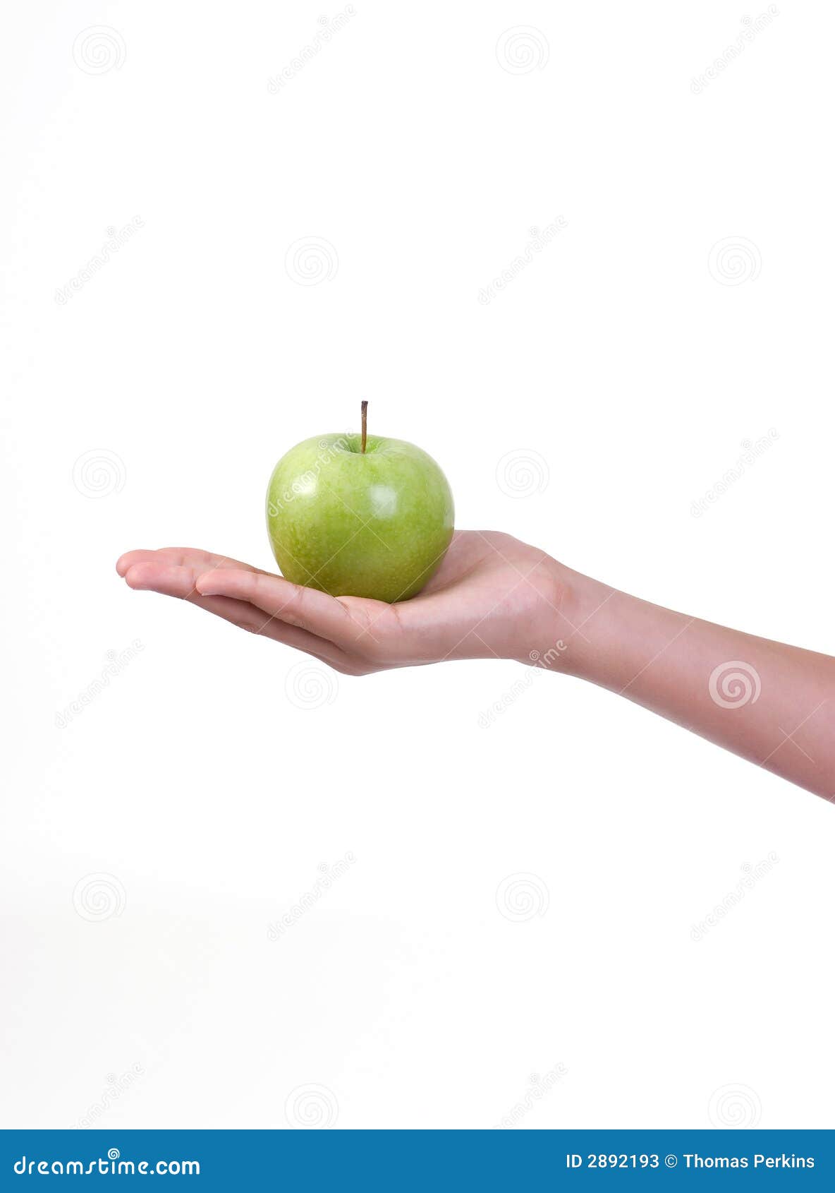Apple in hand stock image. Image of youth, apple, teen - 2892193