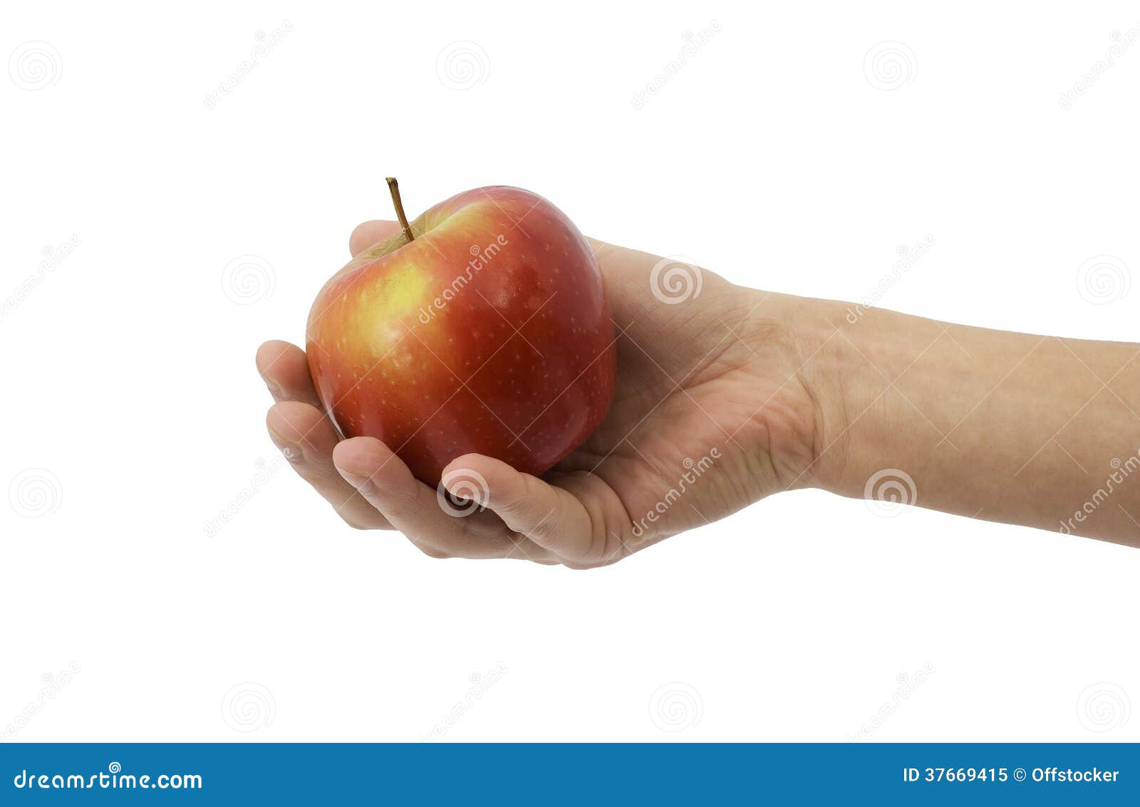 Apple in hand stock image. Image of caucasian, fruit - 37669415
