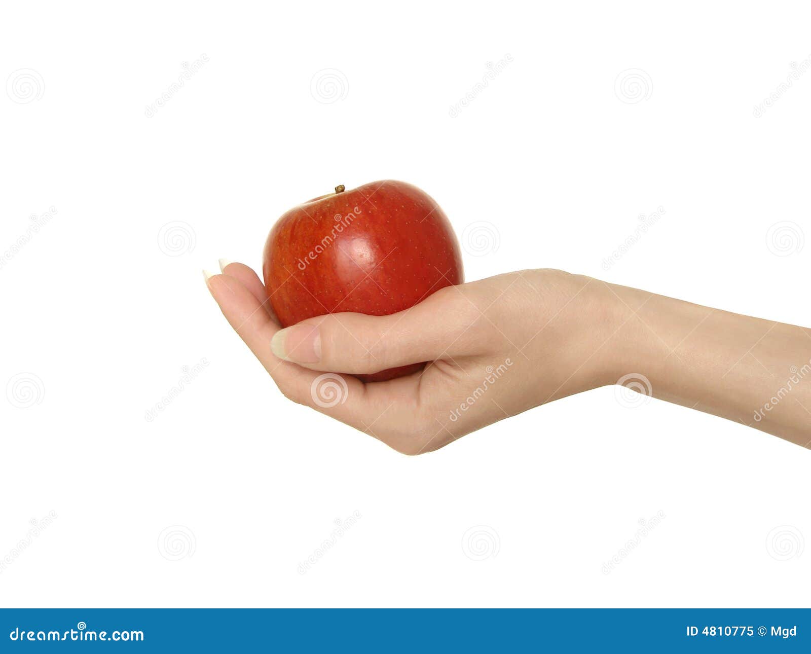 Apple in hand stock image. Image of concept, fingers, fruit - 4810775