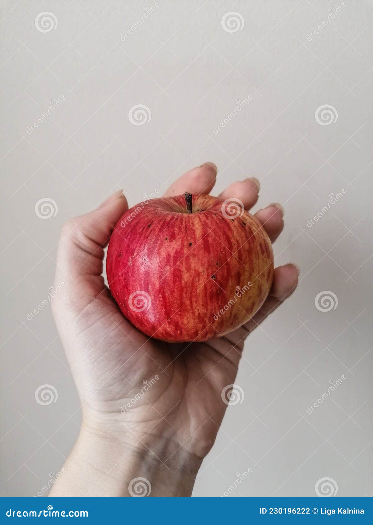 Apple in hand stock photo. Image of plant, finger, leaf - 230196222