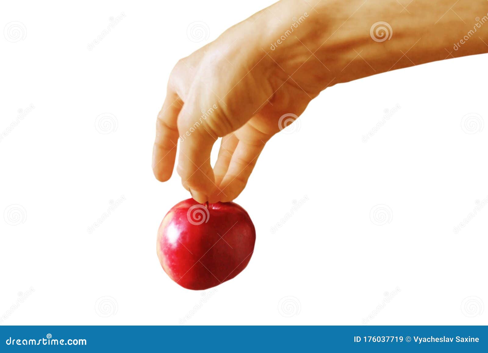 Apple in hand stock image. Image of ripe, palm, wrist - 176037719