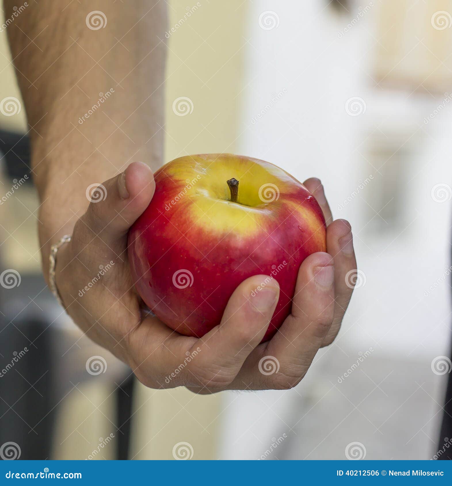 Apple in the Hand stock photo. Image of color, delicious - 40212506