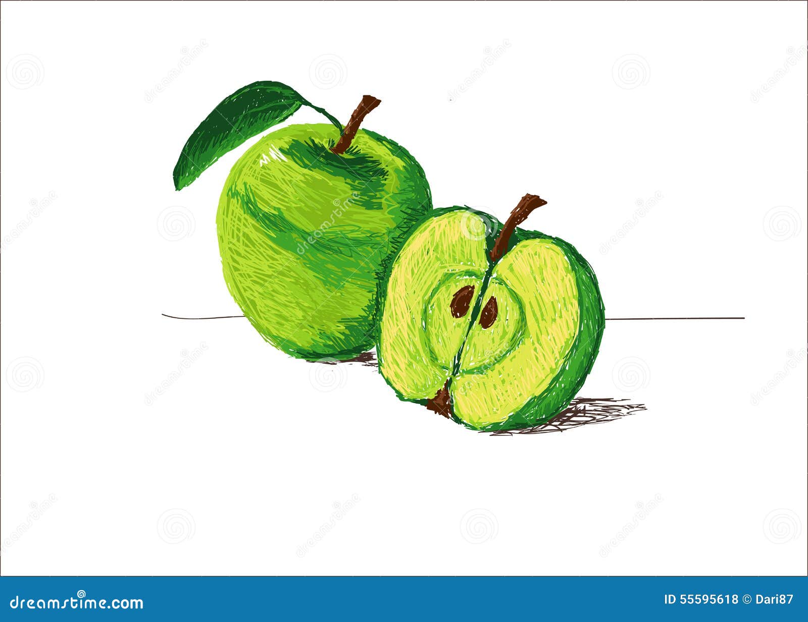 Apple hand painted stock vector. Illustration of painted - 55595618
