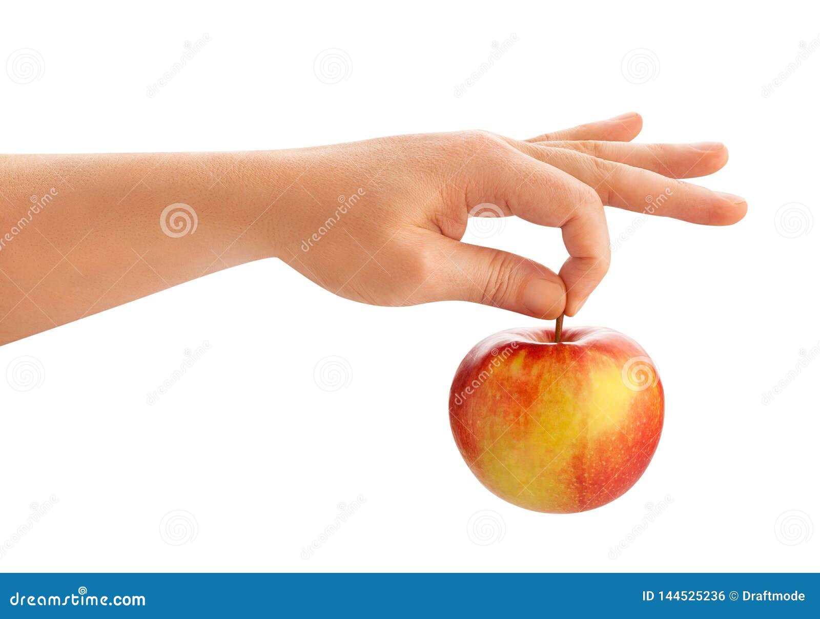Apple in hand stock photo. Image of holding, colorful - 144525236