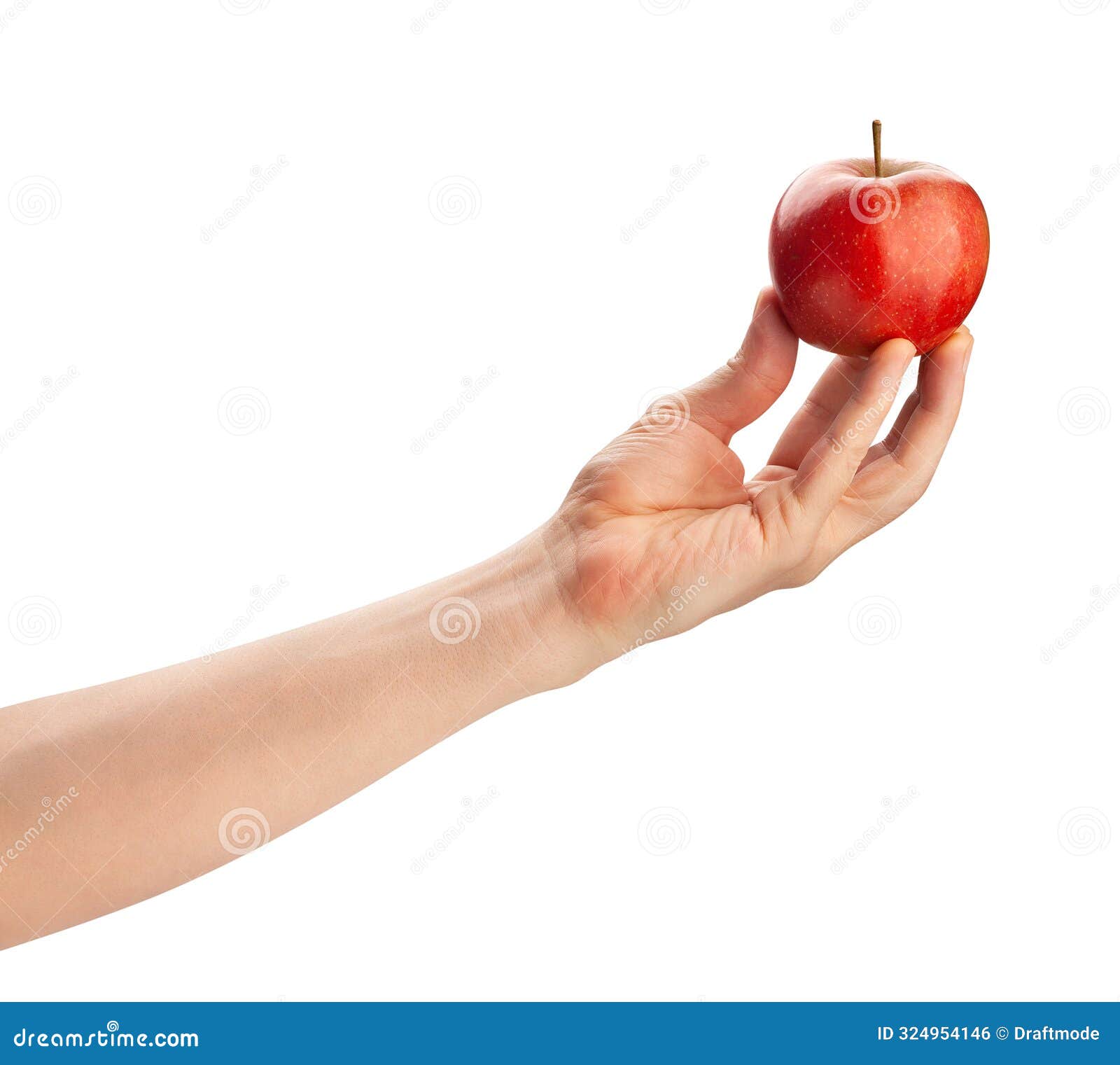 Apple in Hand Path Isolated Stock Photo - Image of stem, side: 324954146