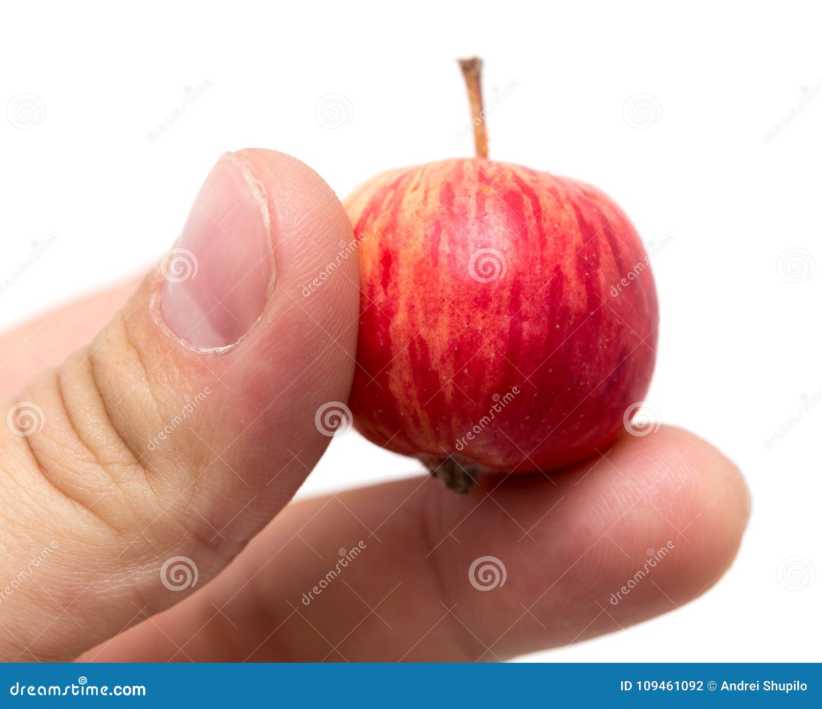 Apple in Hand on White Background Stock Photo - Image of juicy, dieting ...