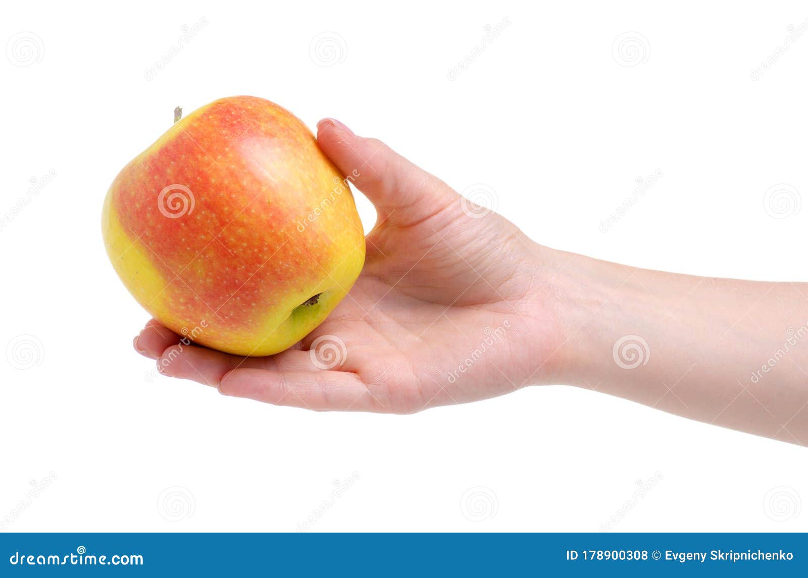 Apple in hand stock photo. Image of health, dieting - 178900308